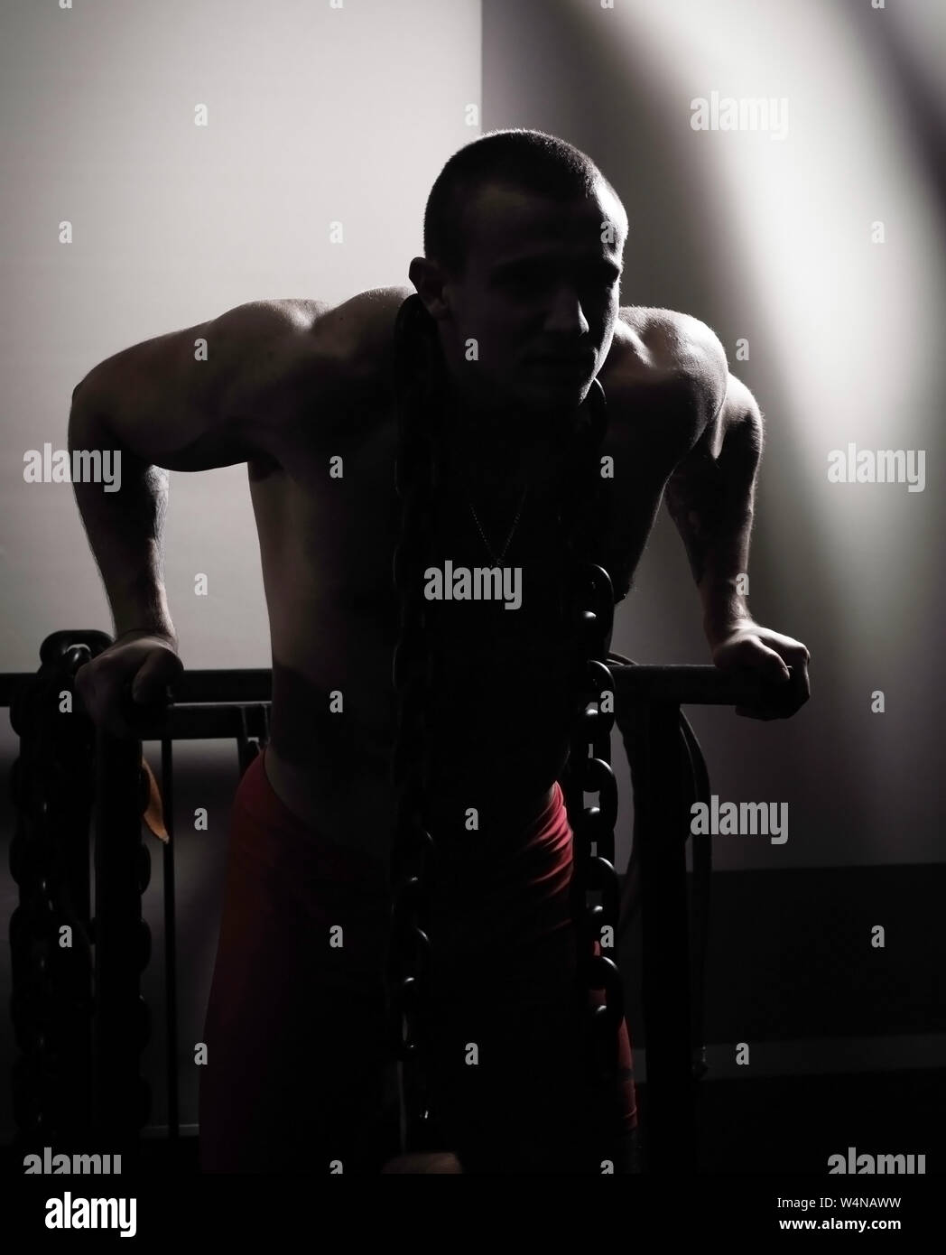 Professional bodybuilder in the gym performs exercises for bodybuilding ...