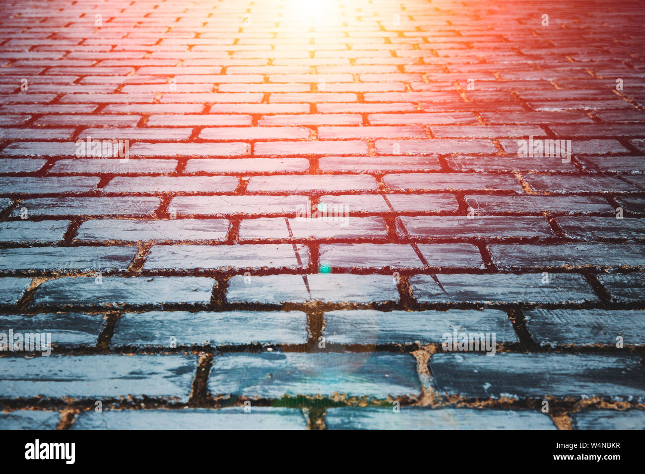 brick footpath or stone walkway with front light for go forward way ...