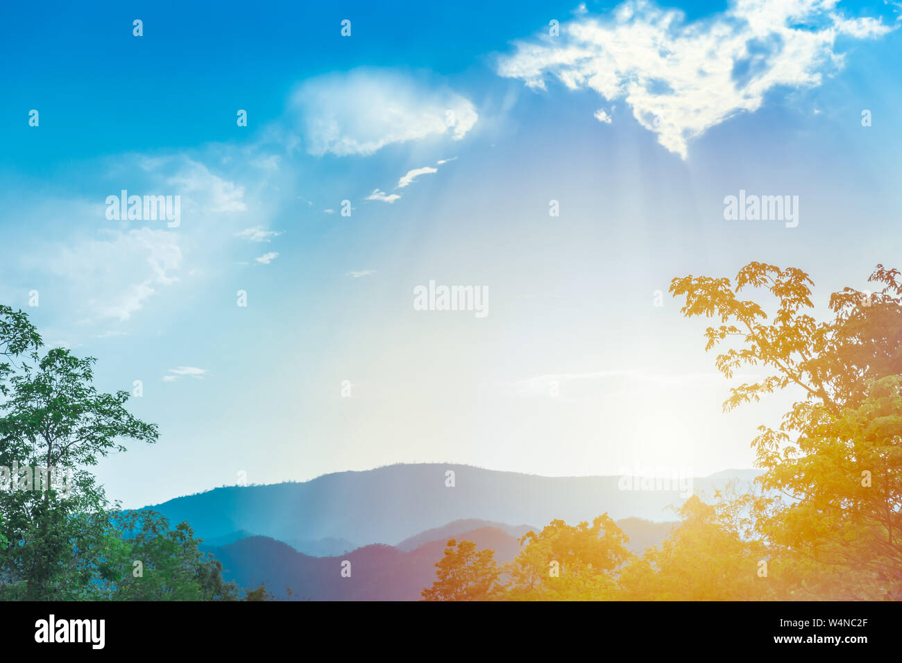 fresh air green tree and mountain blue sky for nature background Stock ...