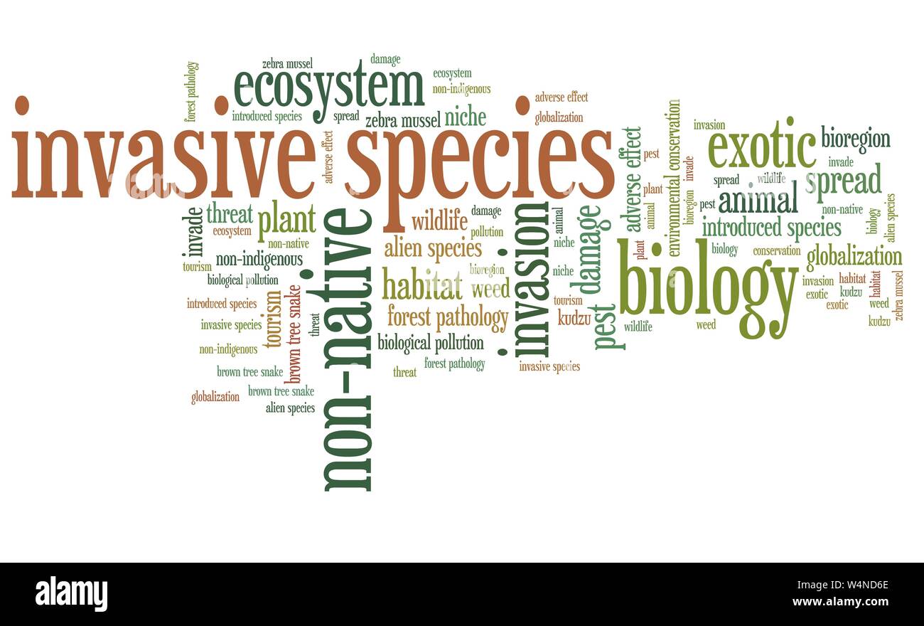 Invasive species - environment issues and concepts word cloud ...