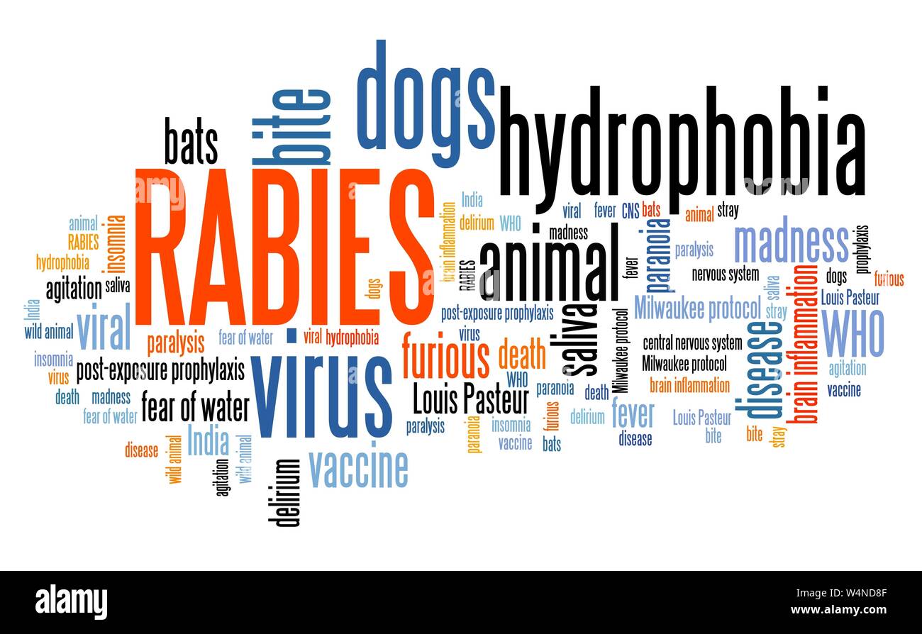Rabies - viral disease of humans and animals. Health care word cloud ...