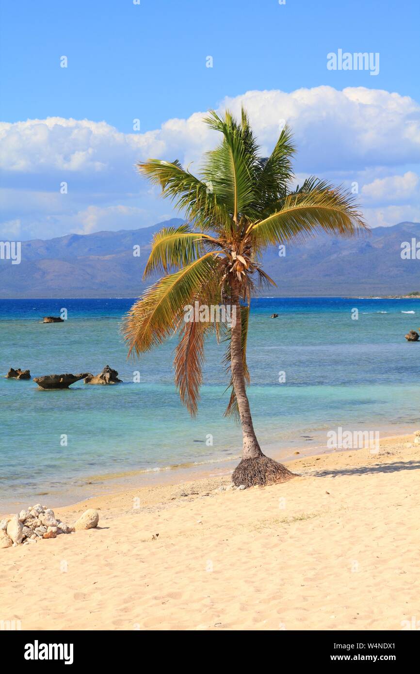 Cuba beach landscape - palm tree at Ancon Beach, Trinidad Stock Photo ...
