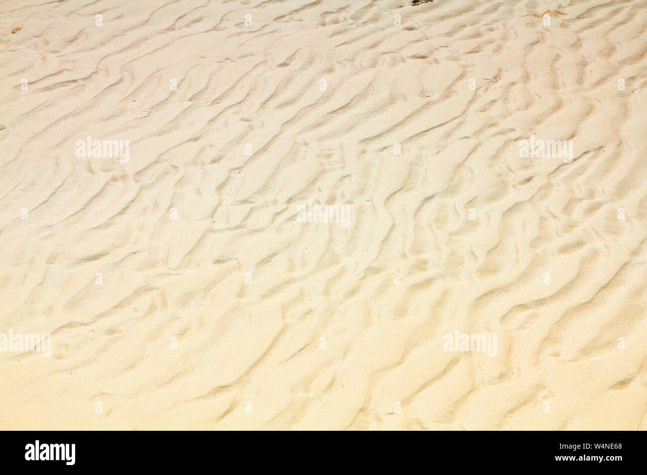 Yellow sand background - sandy beach in Cuba Stock Photo - Alamy