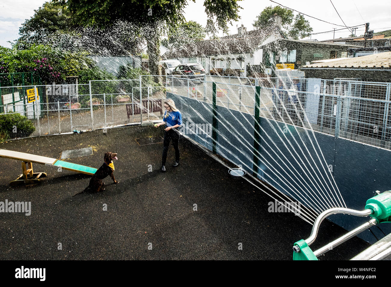 Connie Gilmore, animal welfare assistant at Assisi animal Sanctuary ...