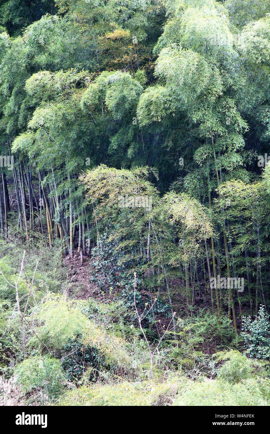 Kiso valley hi-res stock photography and images - Alamy