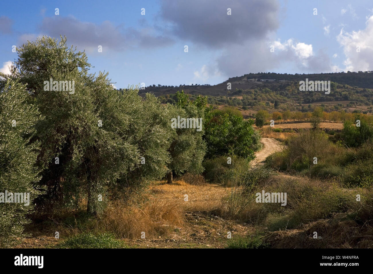 Cyprus countryside hi-res stock photography and images - Alamy