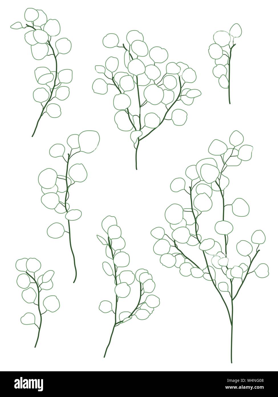 Eucalyptus branch vector vectors hi-res stock photography and images ...