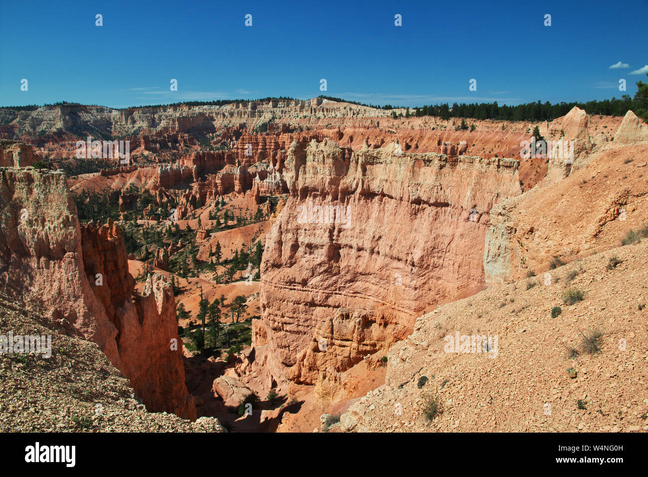 Bryce Canyon in Utah, USA Stock Photo - Alamy