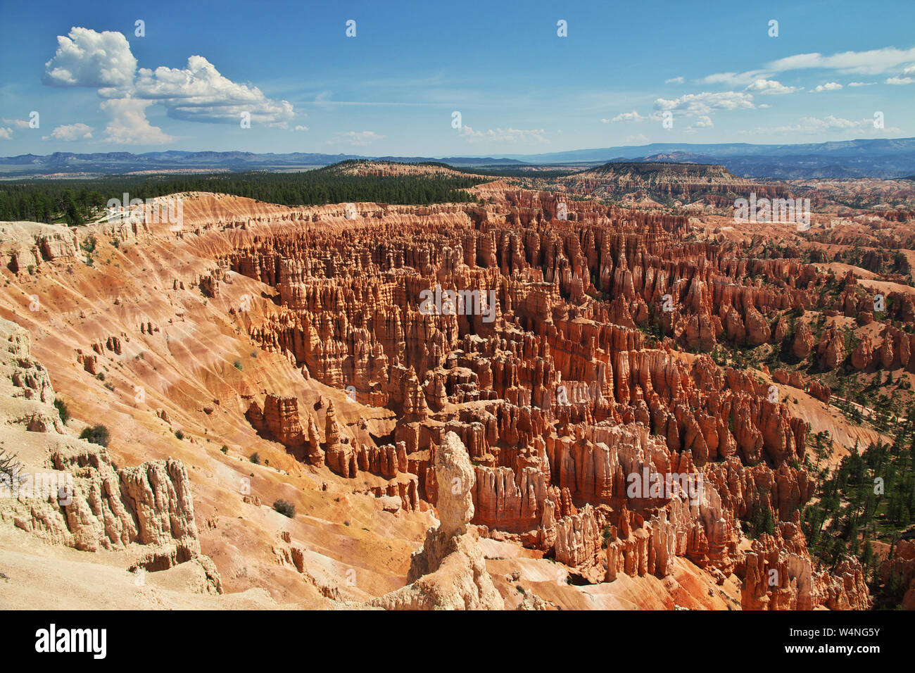 Bryce Canyon in Utah, USA Stock Photo - Alamy