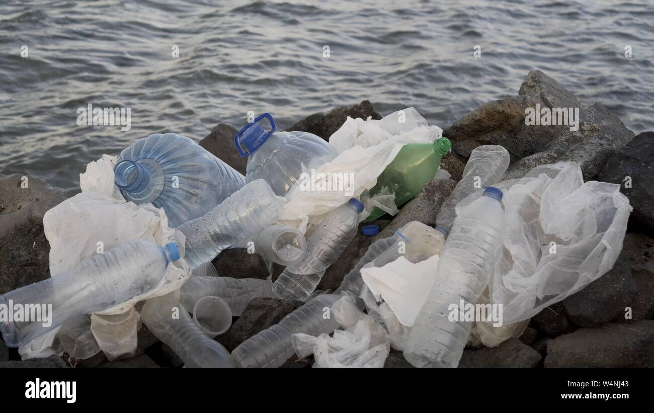 Dirty plastic bottles on the stone beach. Environmental pollution Stock ...