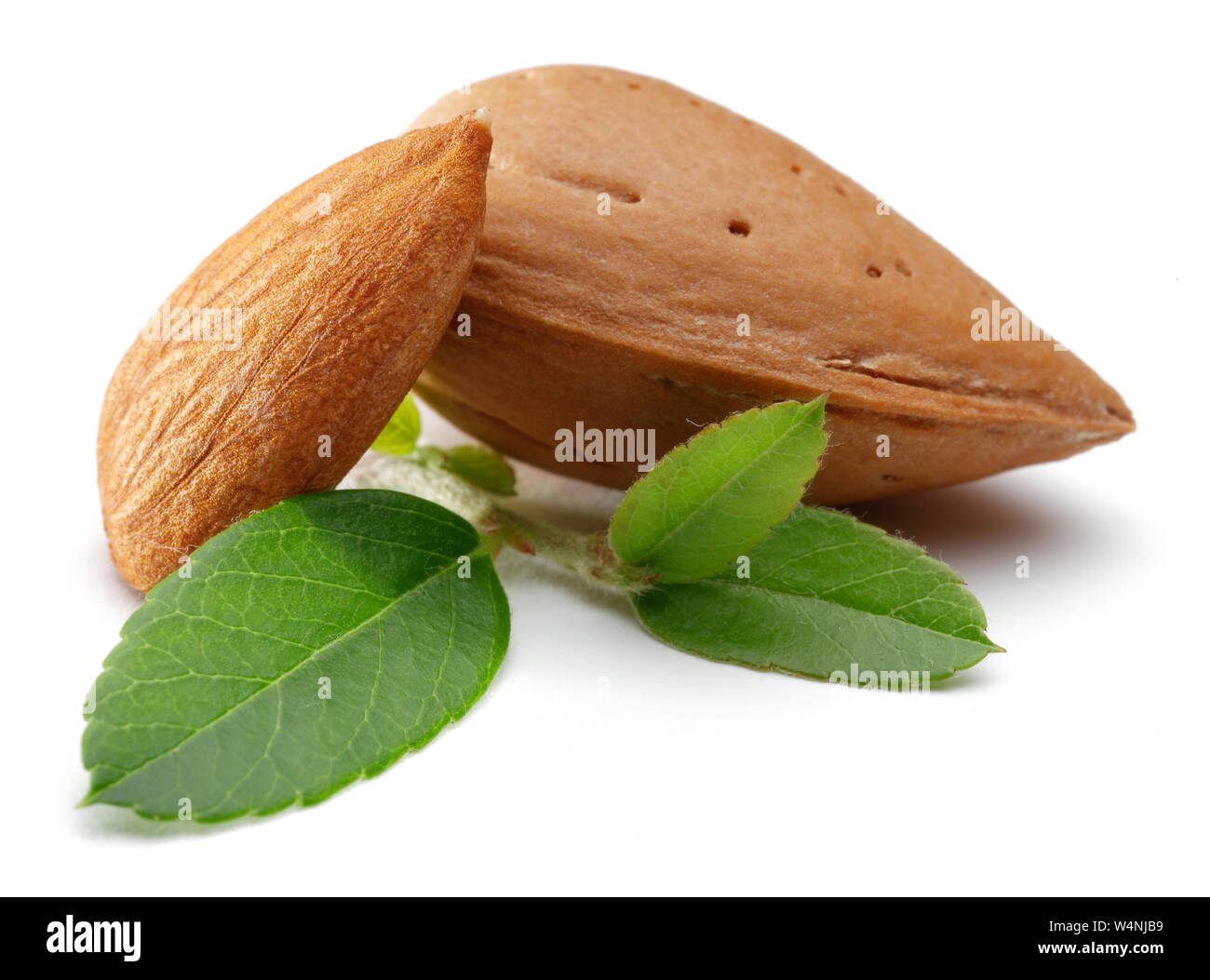 Almonds and green leaves isolated on white background Stock Photo - Alamy