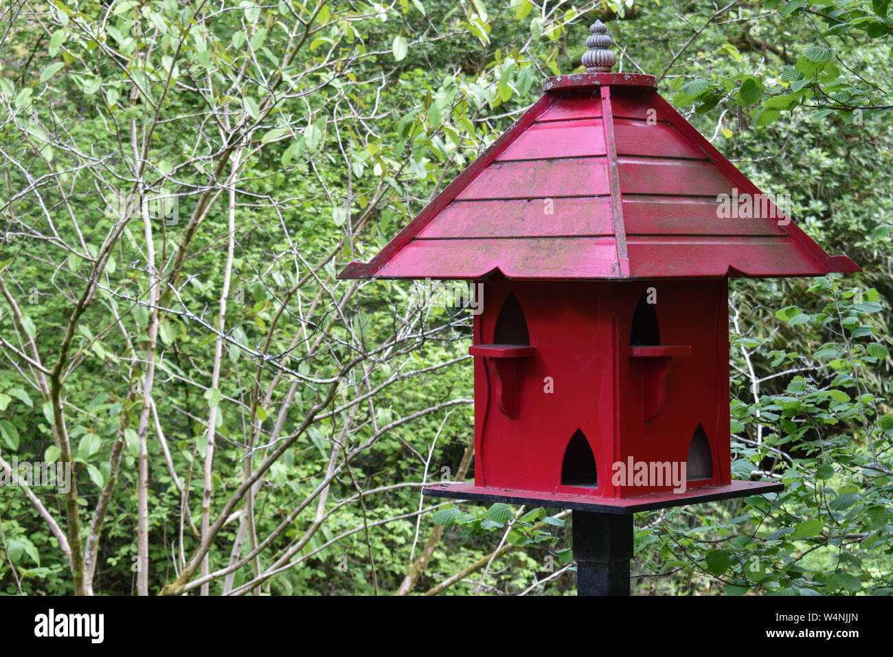 Nesting cover hi-res stock photography and images - Alamy