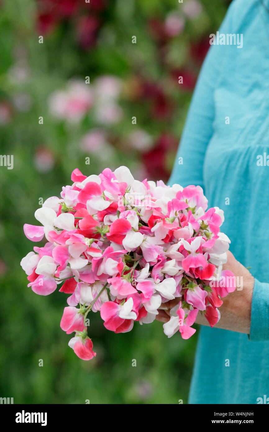 Summer bunch of flowers hi-res stock photography and images - Alamy