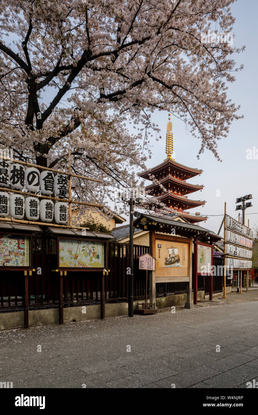 Senso-ji temple in the city of Tokyo, Japan. An ancient Buddhist temple ...