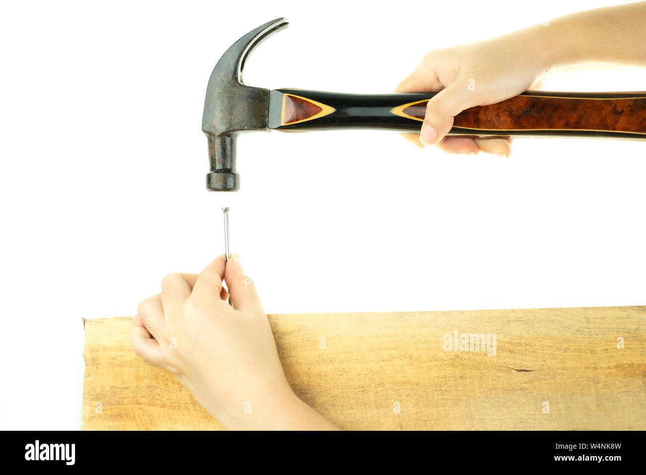 Lady Hand hoiding hammer hitting a nail on wood at white background ...