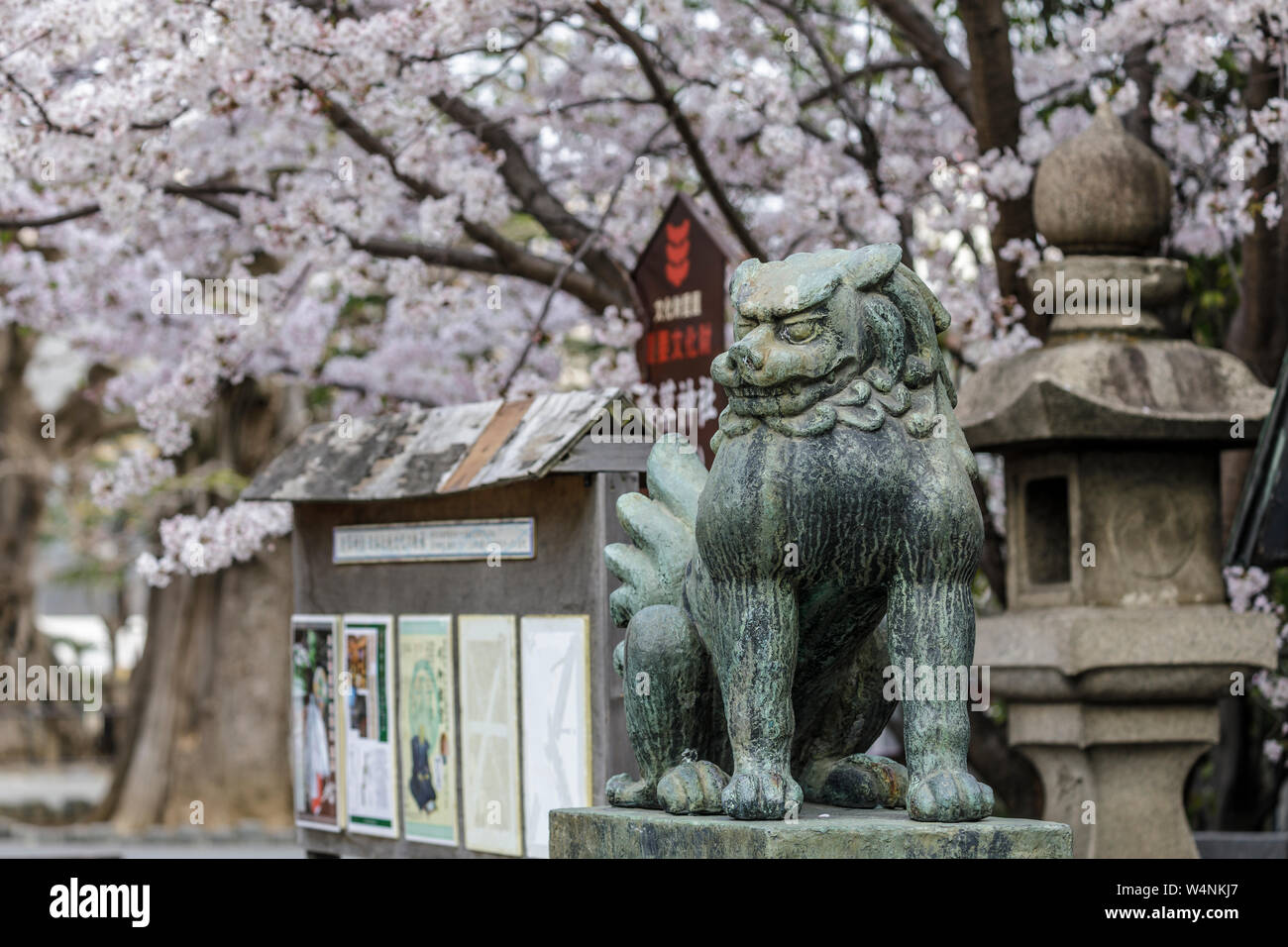 Senso-ji temple in the city of Tokyo, Japan. An ancient Buddhist temple ...