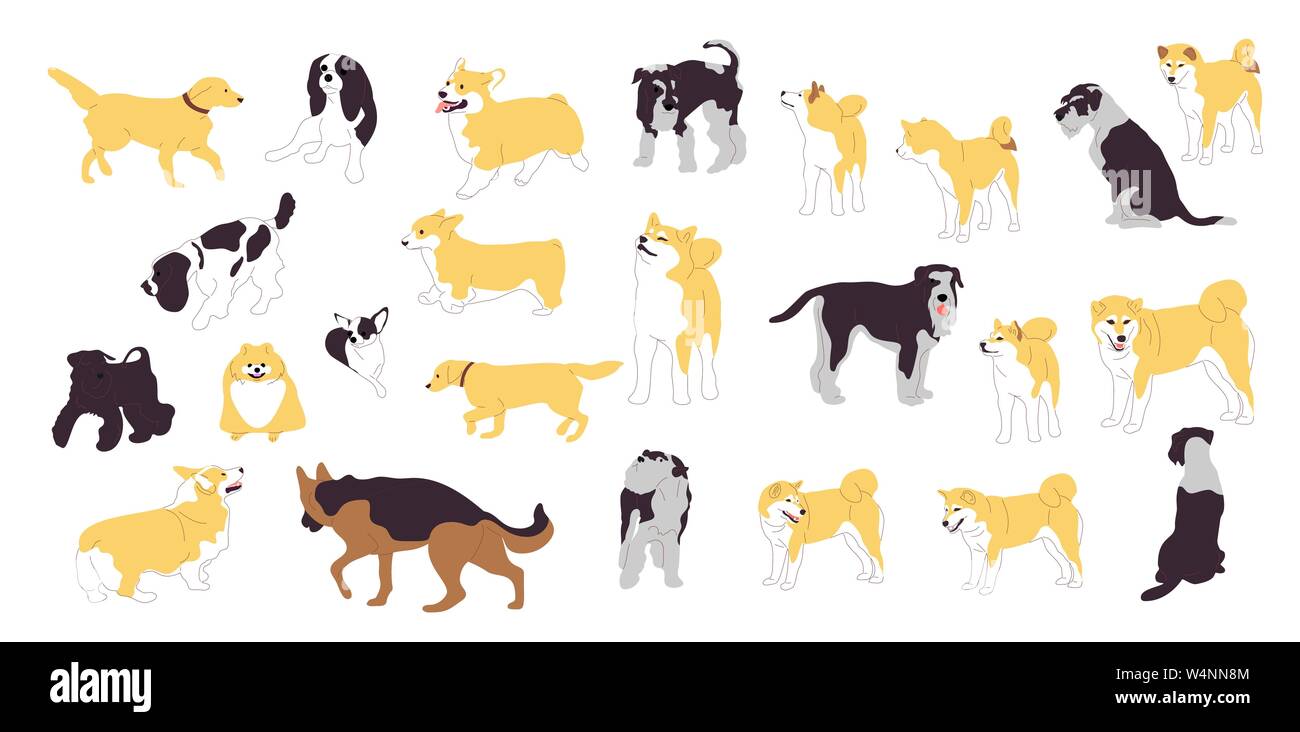Set of different dogs. Big collection of dog breeds. Isolated on white ...