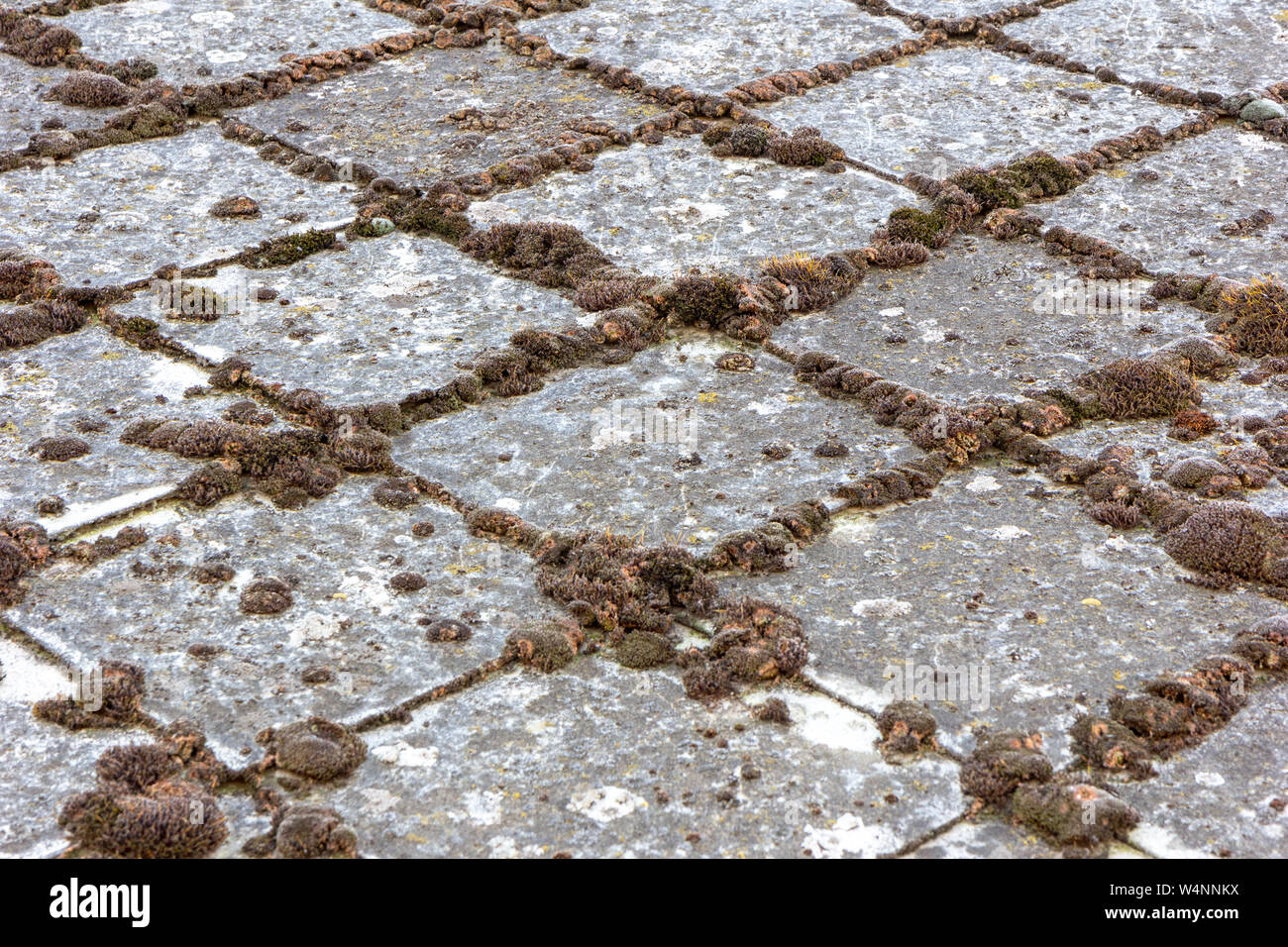 Weathered shingles hi-res stock photography and images - Alamy