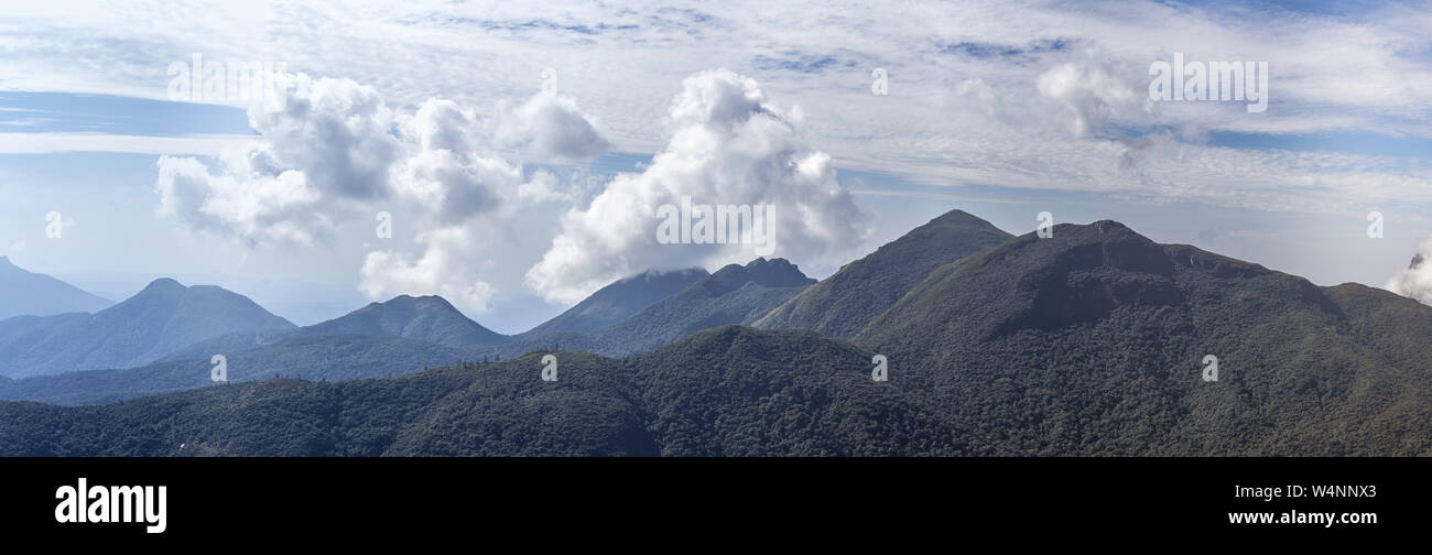 Tucum hi-res stock photography and images - Alamy