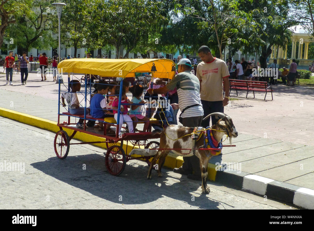 Cuban goat hi-res stock photography and images - Alamy