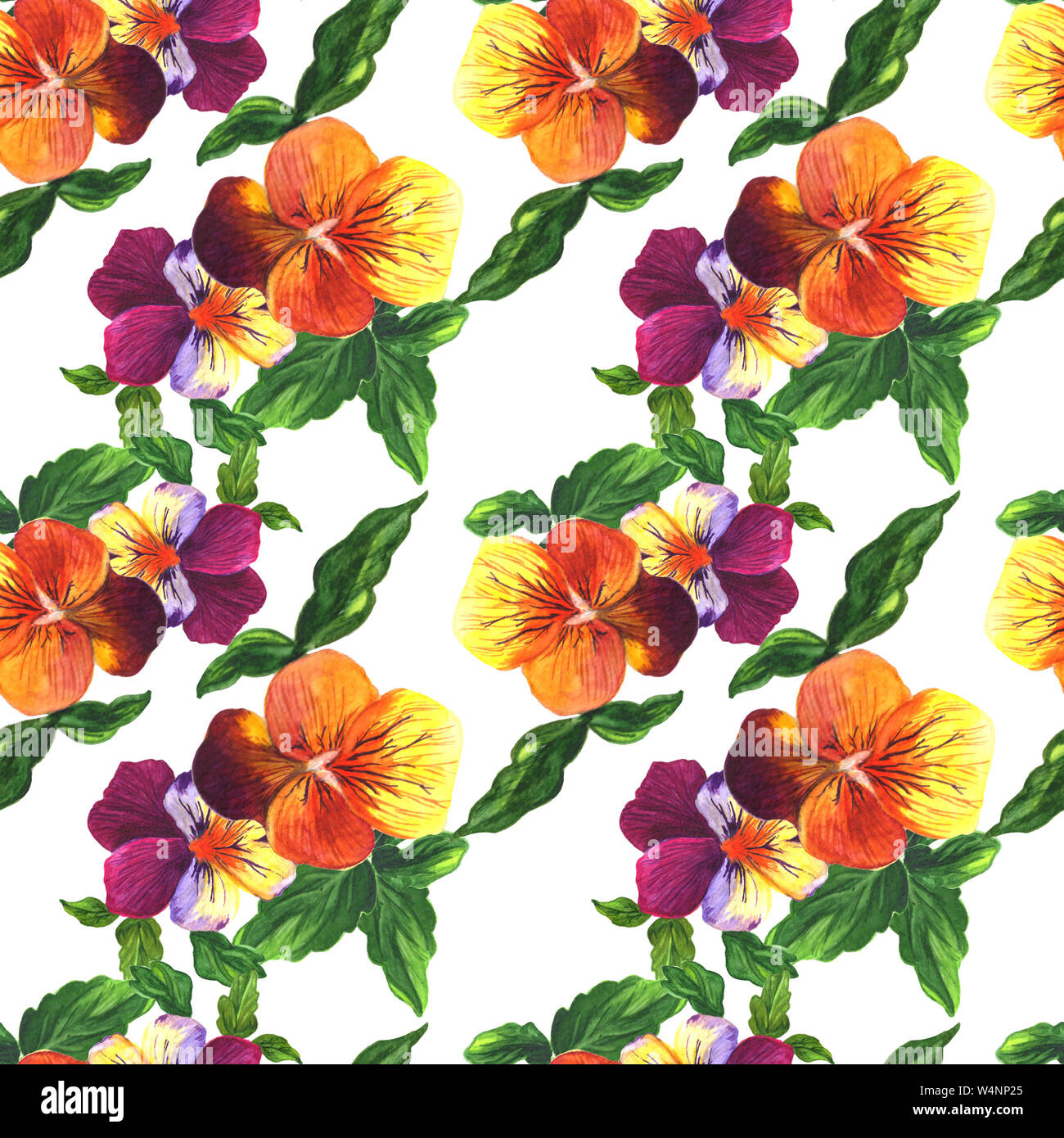 Viola floral botanical flower. Watercolor background illustration set ...