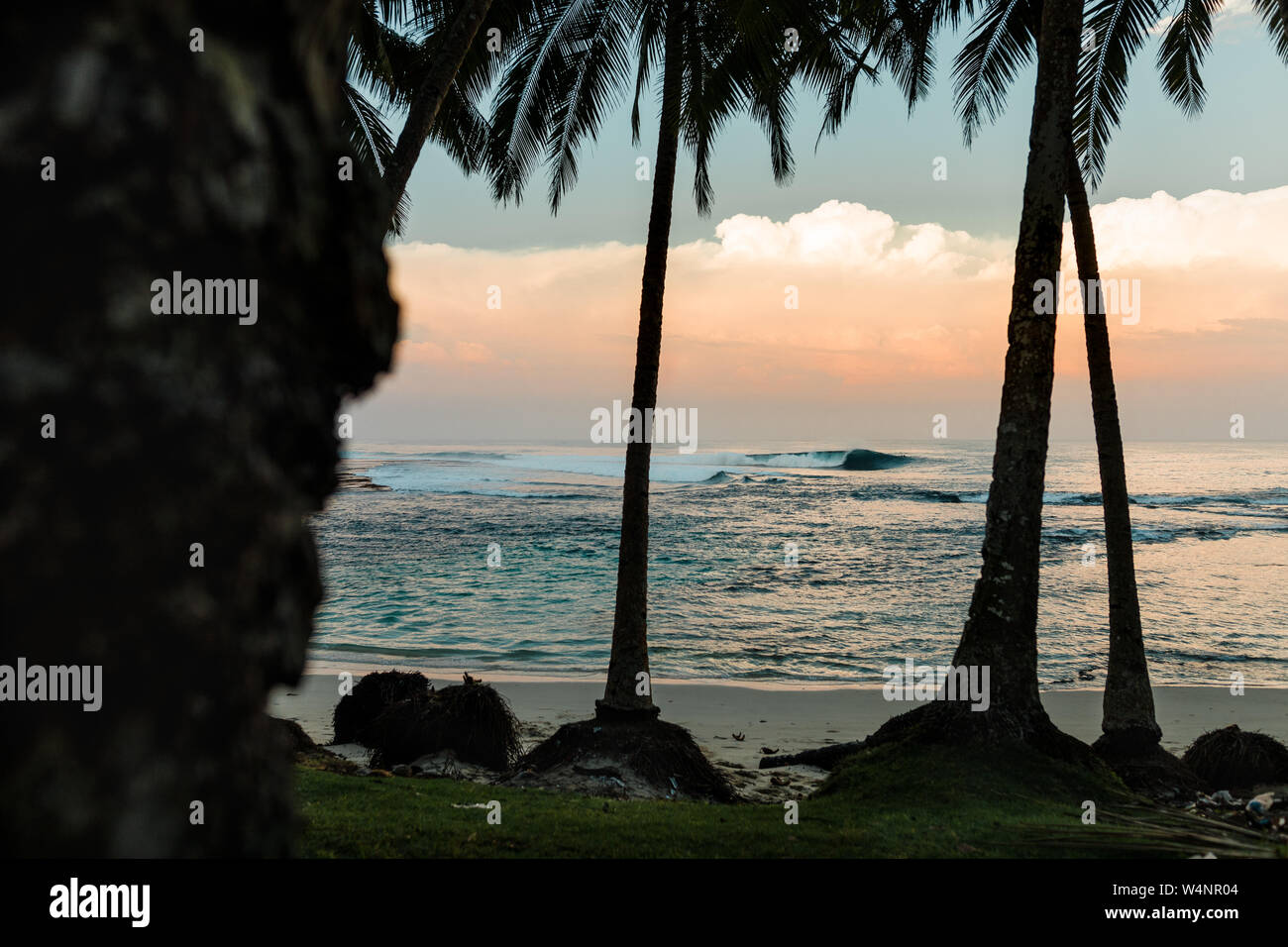 Good morning from surfing paradise Stock Photo - Alamy