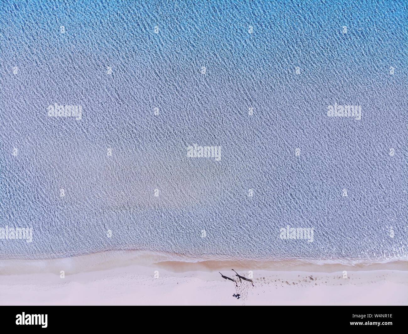 Swimming on the sea. Summertime holiday, happy moment in unity with ...