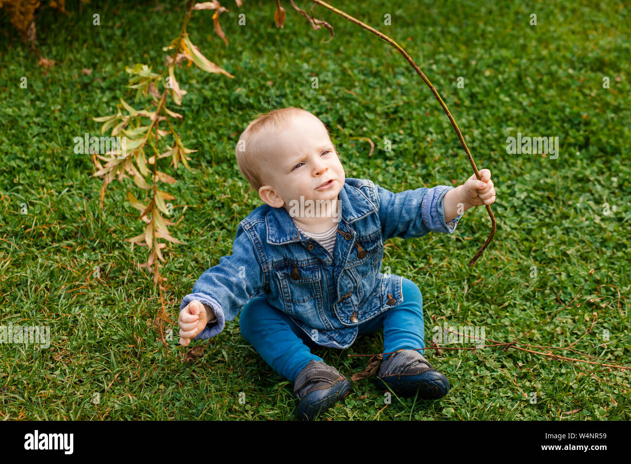 A baby sits on the grass looking up and playing with a tree branch ...