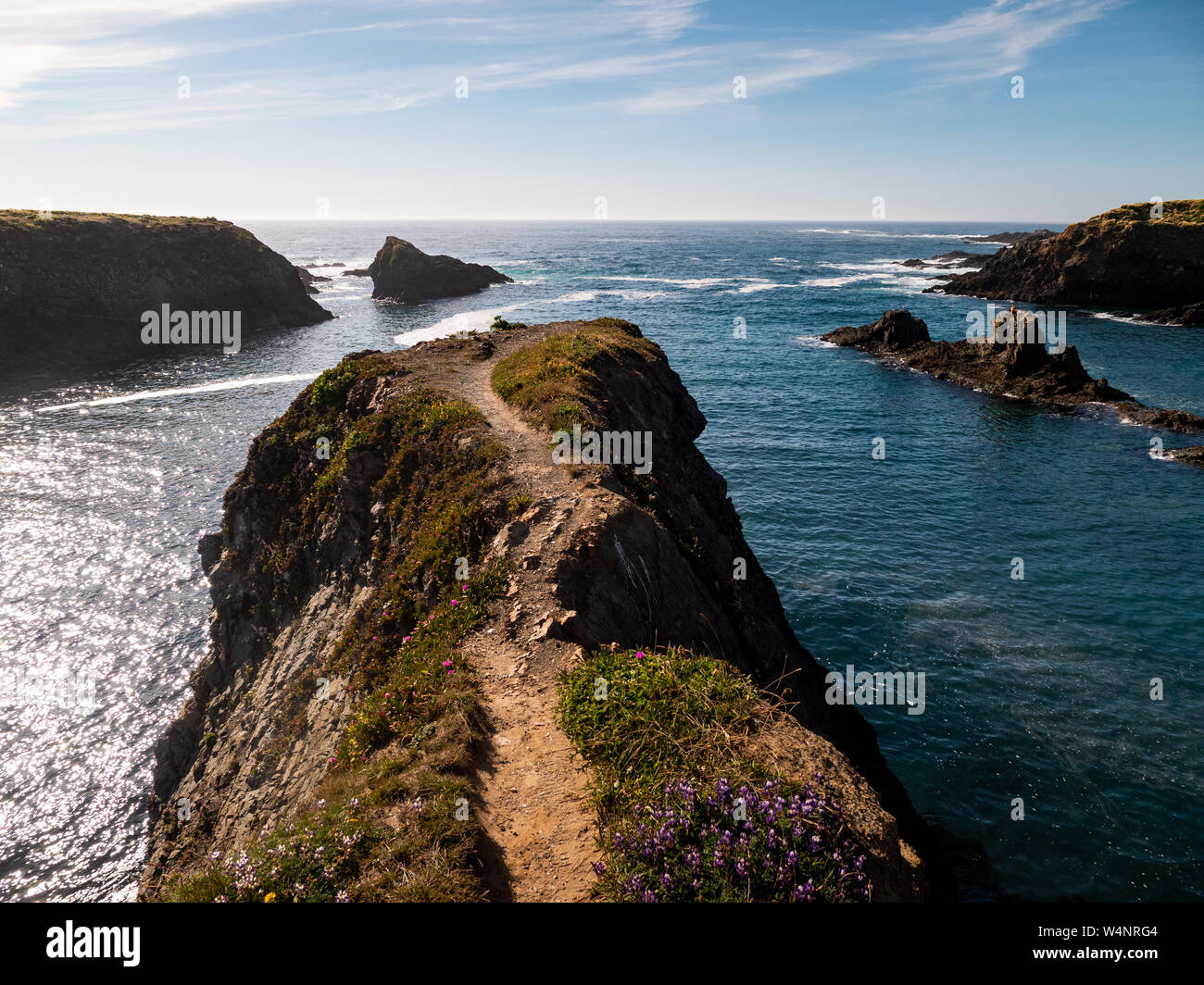Coastal trail on rocky ocean bluff Stock Photo - Alamy