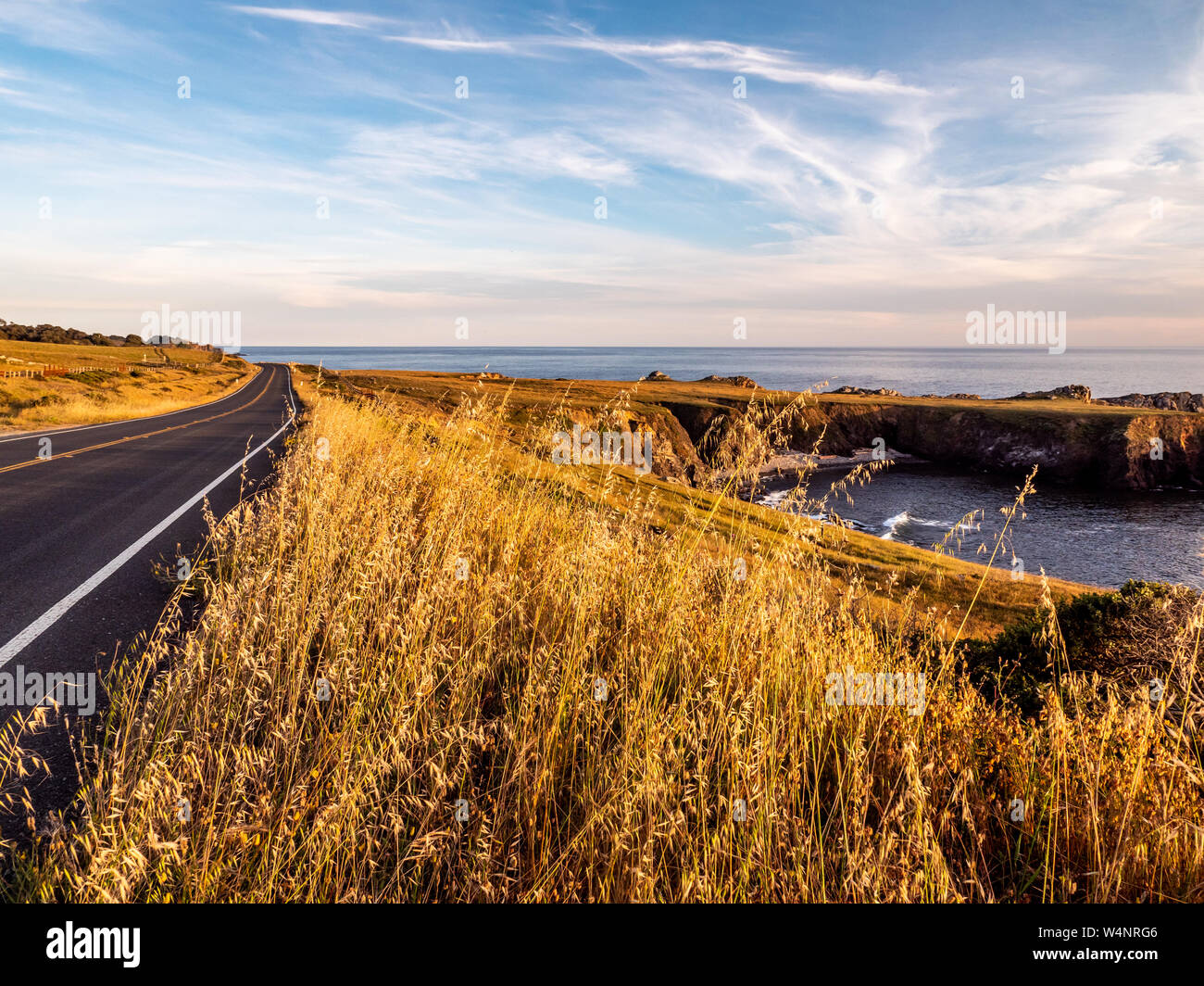 Golden grass on the side of coastal highway Stock Photo - Alamy