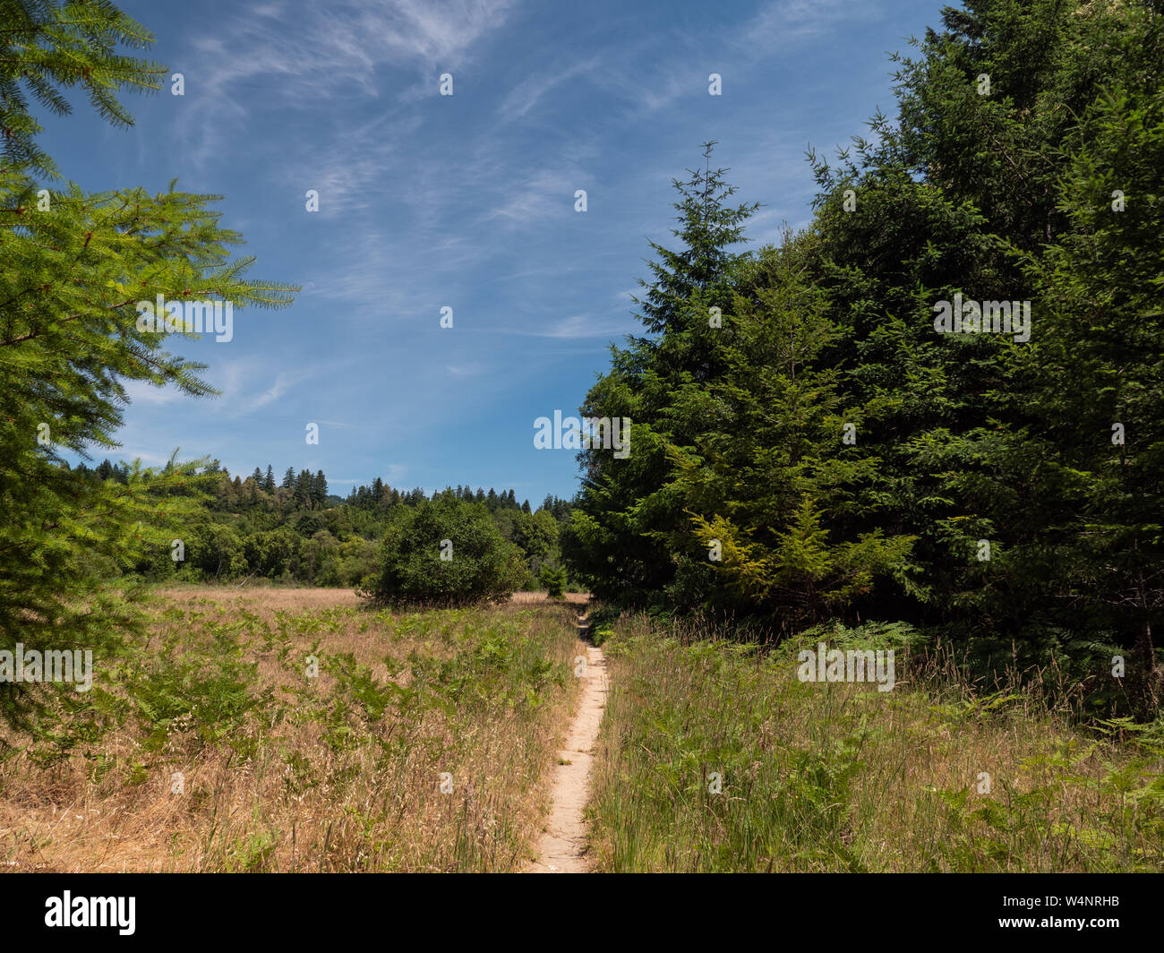 Meadow trail hi-res stock photography and images - Alamy