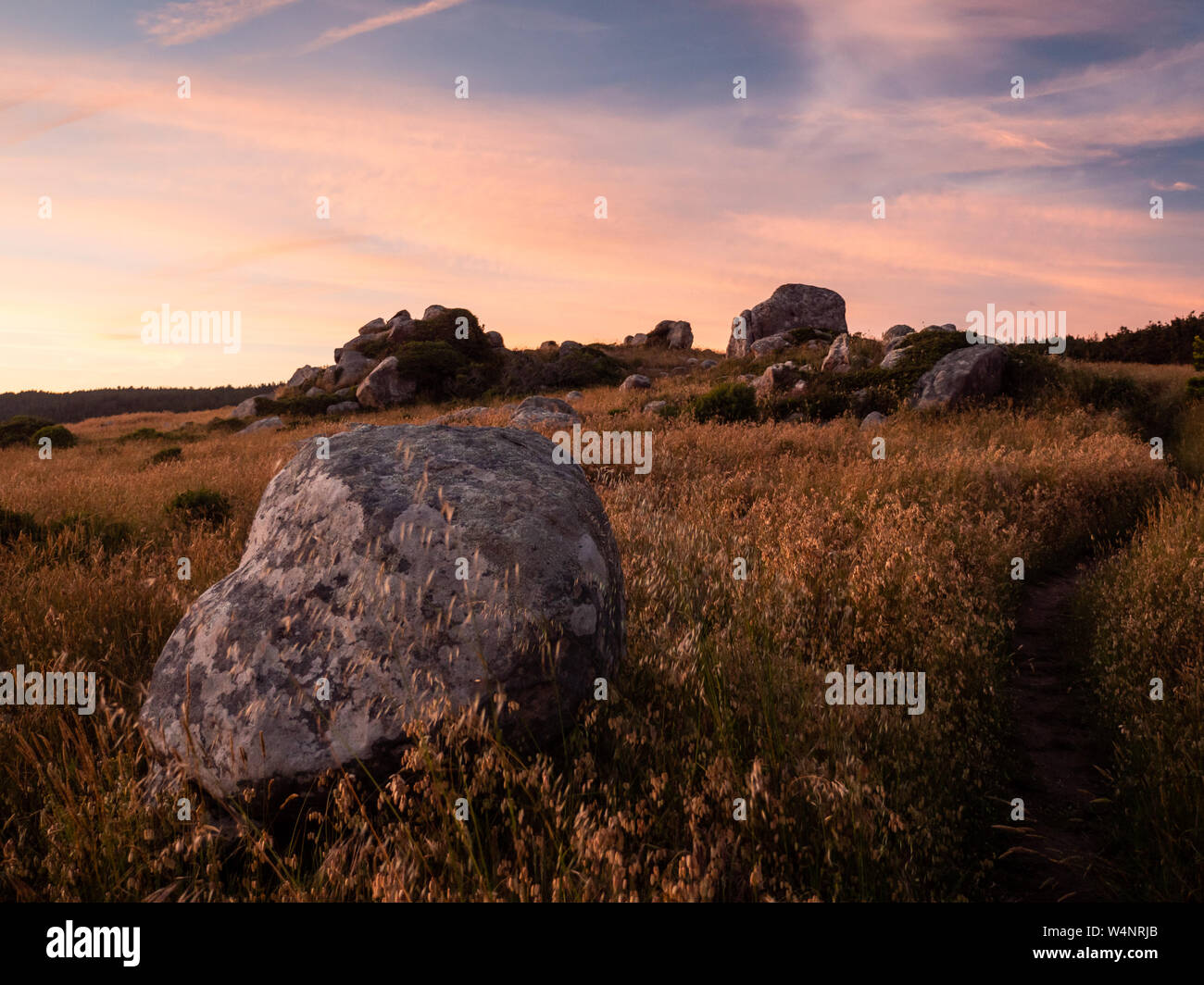 Meadow rocks on grassy hi-res stock photography and images - Alamy