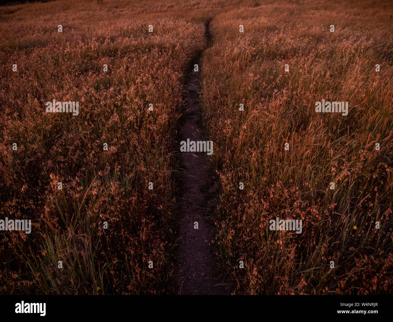 Hiking hike adventure trail hi-res stock photography and images - Alamy
