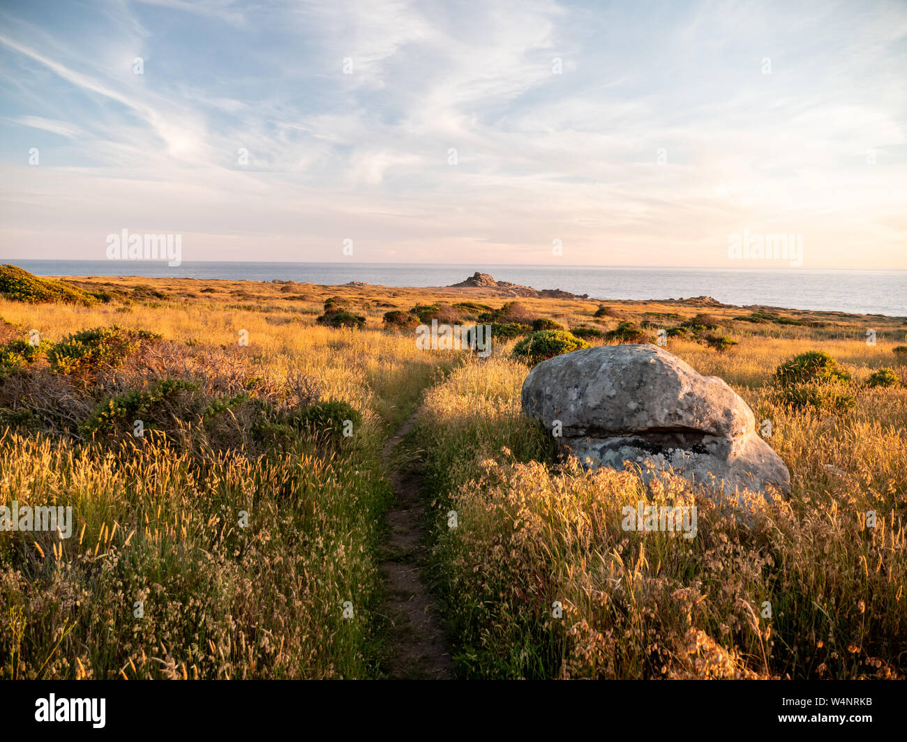 Coastal trail through meadow Stock Photo - Alamy