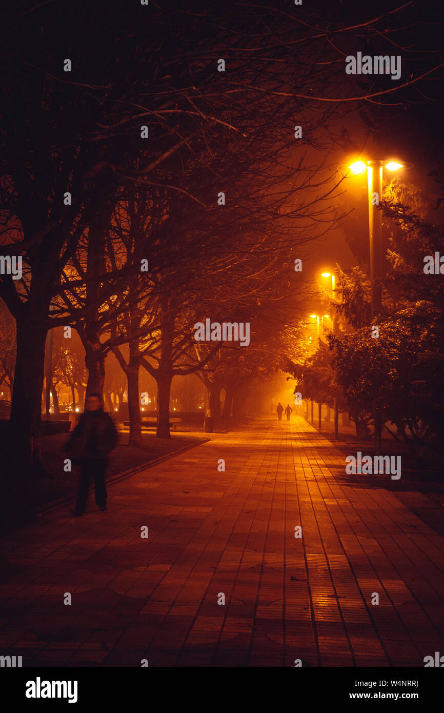 Fog with street lighting hi-res stock photography and images - Alamy