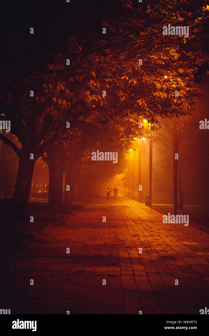 Night fog hi-res stock photography and images - Alamy