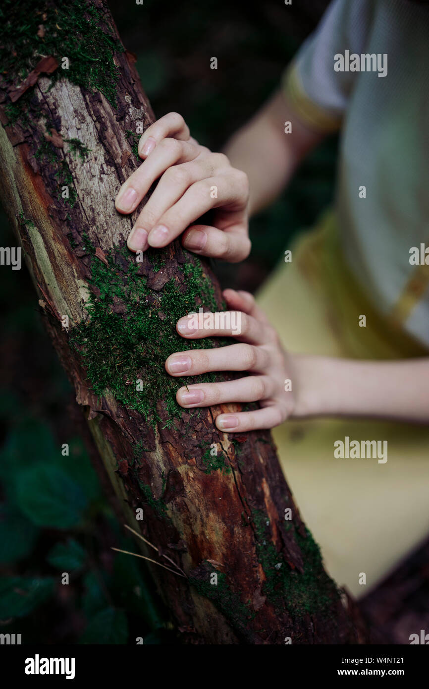 Tree fingers hi-res stock photography and images - Alamy