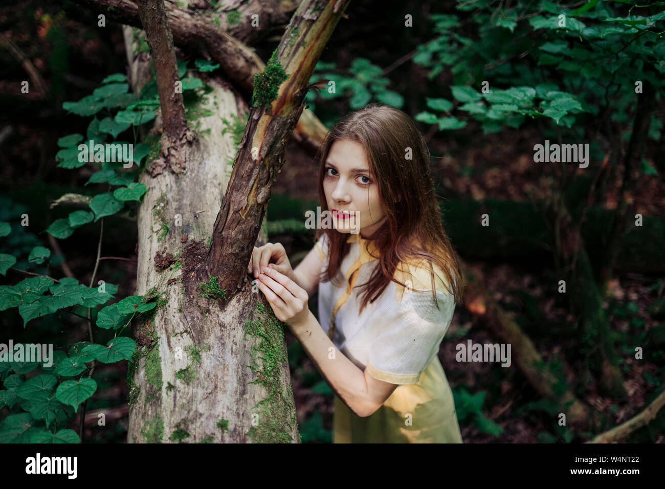 Woman walk in forest hi-res stock photography and images - Alamy