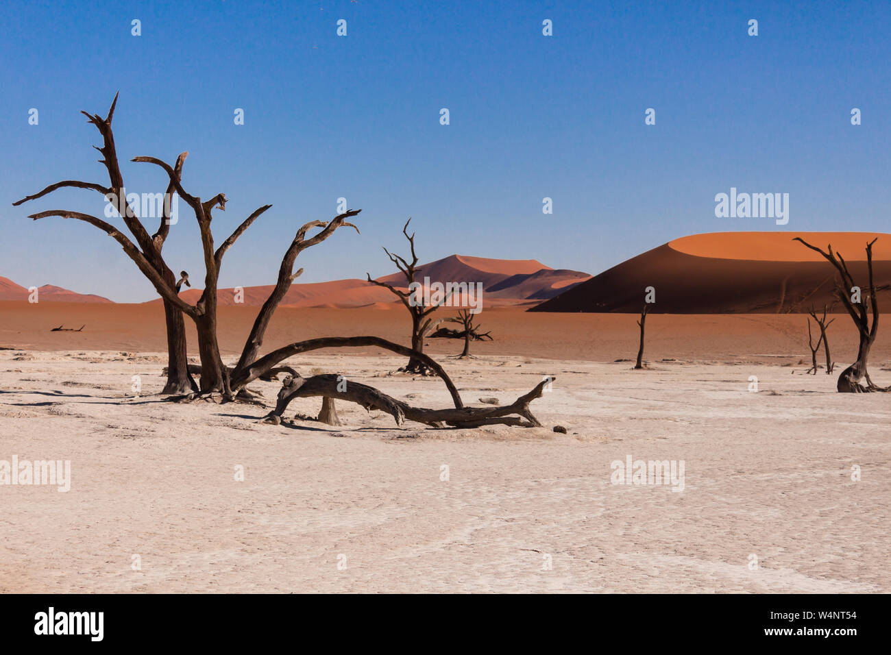 Dead valley in namibia hi-res stock photography and images - Alamy