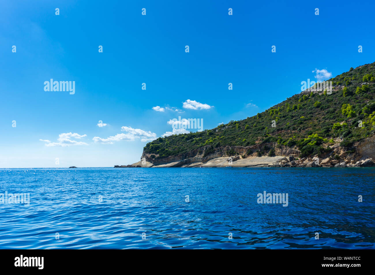 Conifer trees and waters hi-res stock photography and images - Alamy