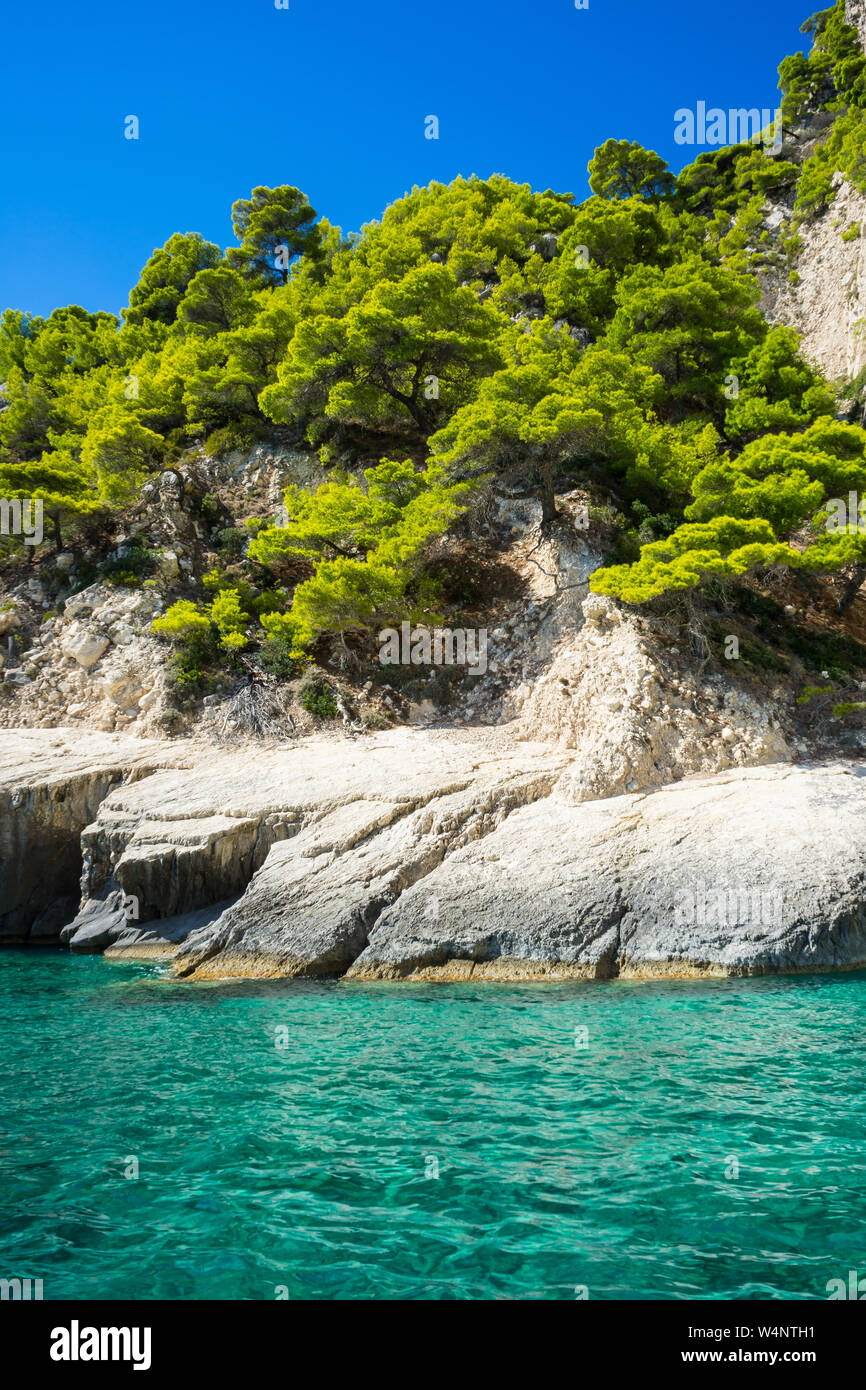 Greece, Zakynthos, Perfect green conifer trees and azure blue ocean ...