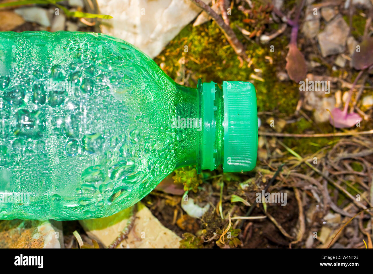 Empty green plastic bottle abandoned in nature - concept image Stock ...