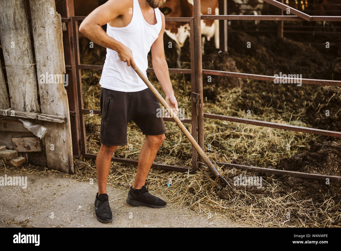 Young agricultural worker hi-res stock photography and images - Alamy