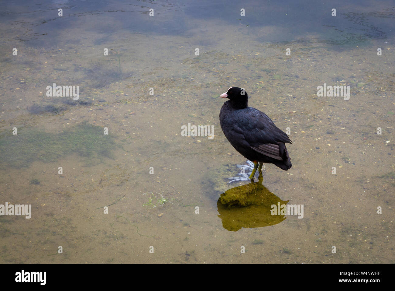 Standing Still High Resolution Stock Photography and Images - Alamy