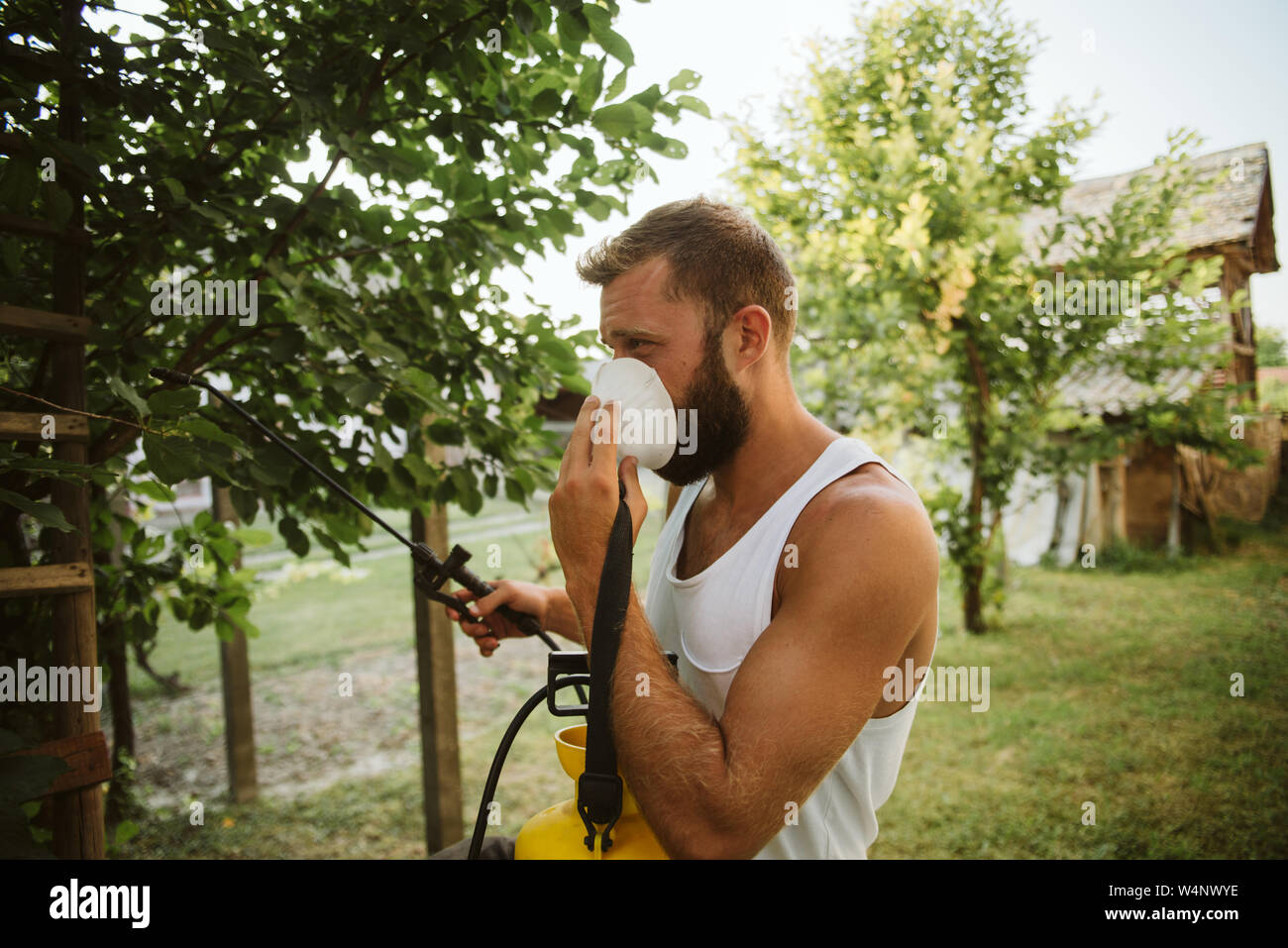 Hard work always brings successful effects Stock Photo - Alamy