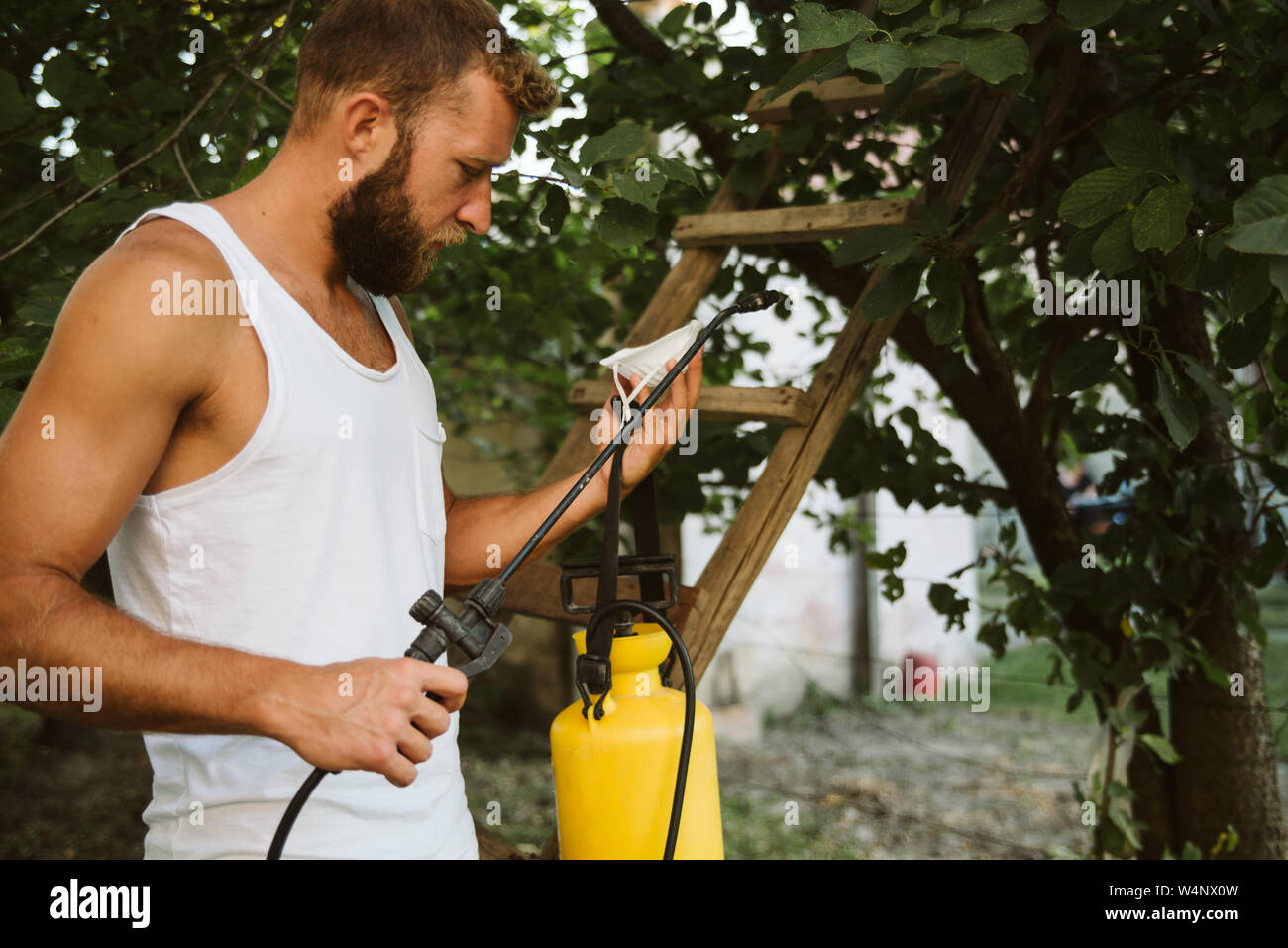 Hard work always brings successful effects Stock Photo - Alamy
