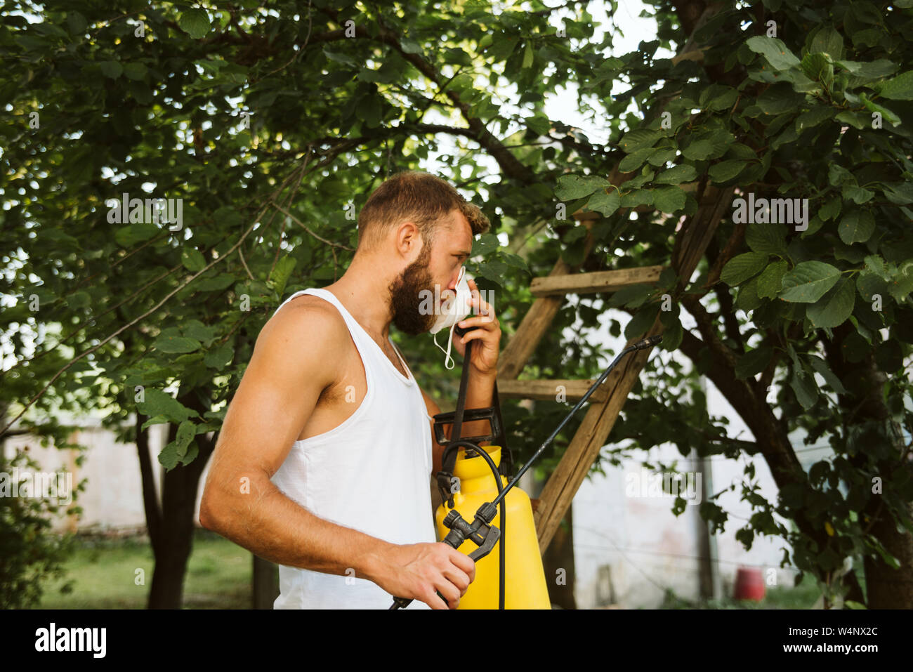 Hard work always brings successful effects Stock Photo - Alamy