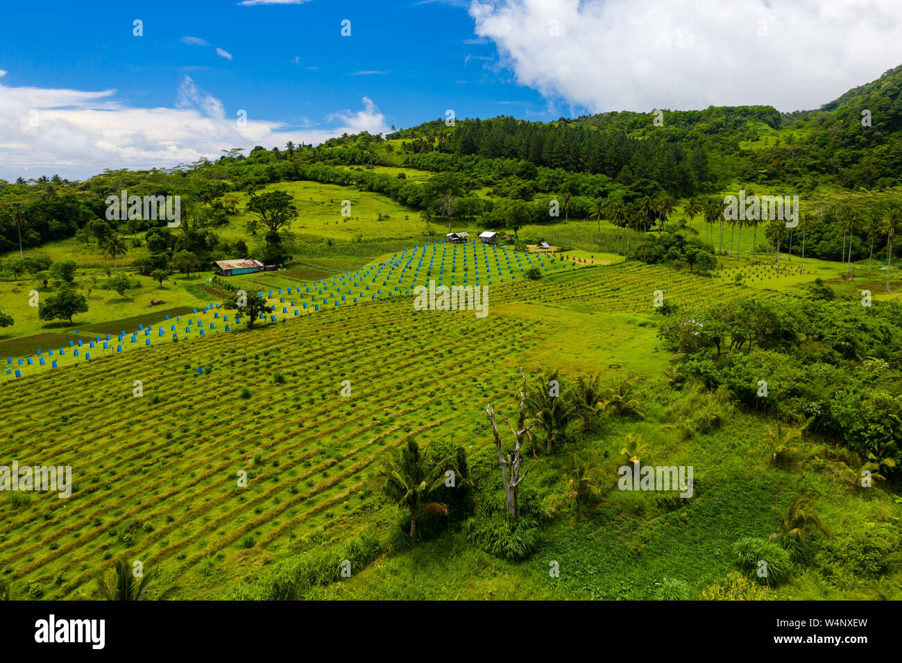 Aerial view of fertile farmland and fields on the slops of Mount ...