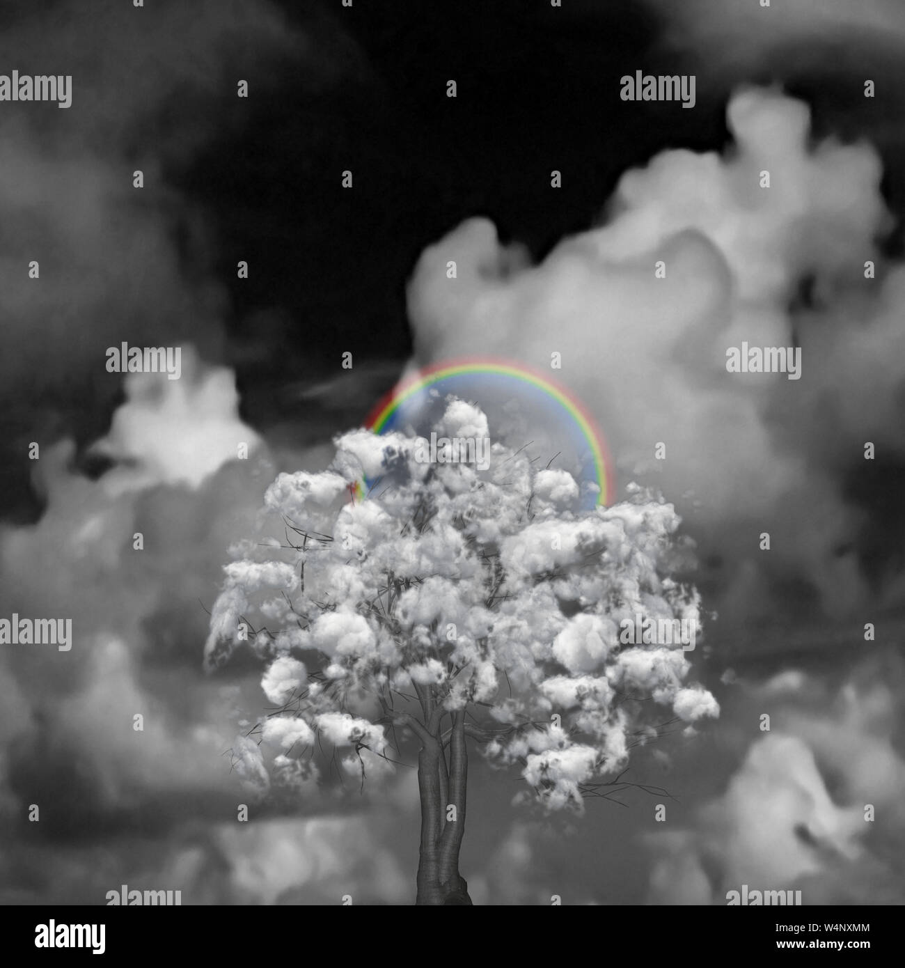 Cloud Tree and rainbow Stock Photo - Alamy