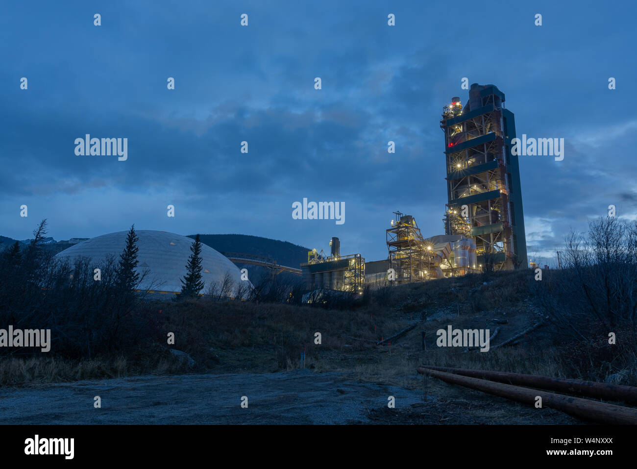 Plant exshaw hi-res stock photography and images - Alamy